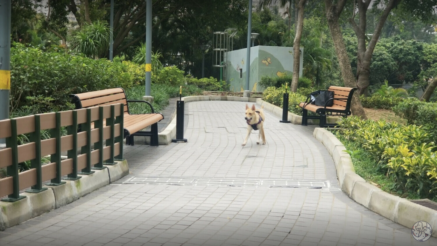 Po Wing Road Sitting-out Area - New TerritoriesNorth District | PET-A ...