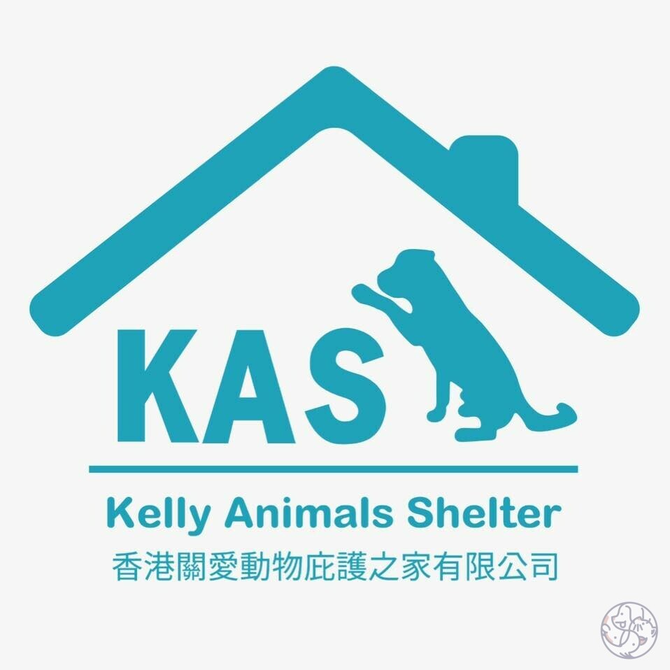 Kelly Animals Shelter - New TerritoriesYuen Long District | PET-A-HOOD ...