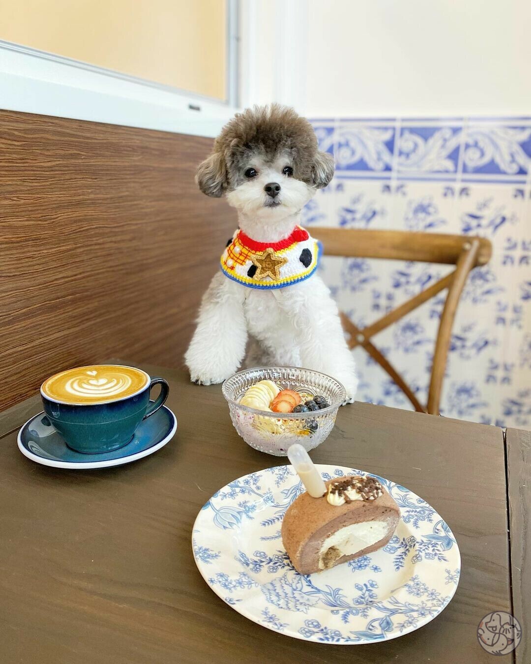 Brava Java Coffee - 新界元朗區 | PET-A-HOOD 寵物資訊平台 - petahood.com