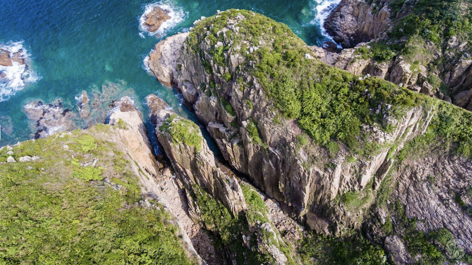 Bluff Island - New TerritoriesSai Kung District | PET-A-HOOD Pet Caring ...