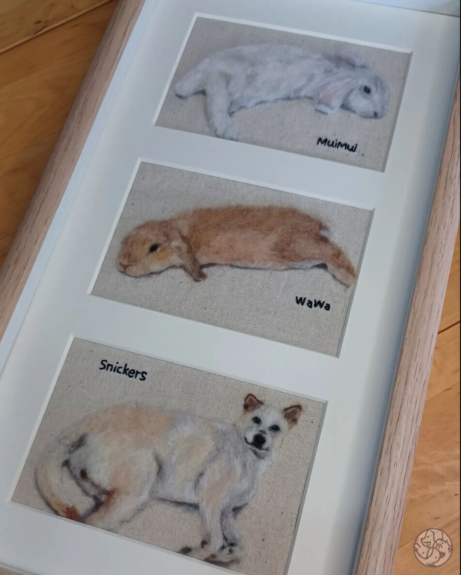 kitman_cat.embroidery - 在線上線上 | PET-A-HOOD 寵物資訊平台 - petahood.com