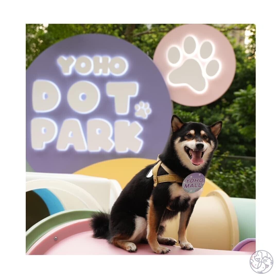 YOHO MALL DOT PARK - 新界元朗區 | PET-A-HOOD 寵物資訊平台 - petahood.com