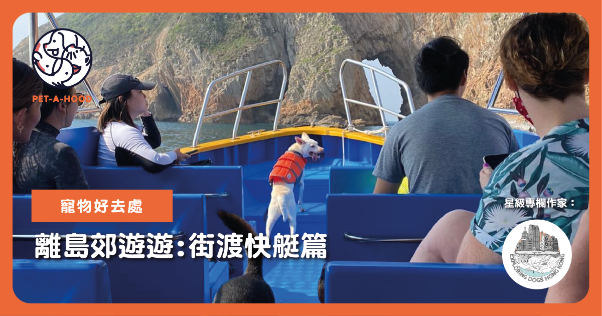 Island Excursions: Kaito Ferry edition | PET-A-HOOD Pet Caring ...