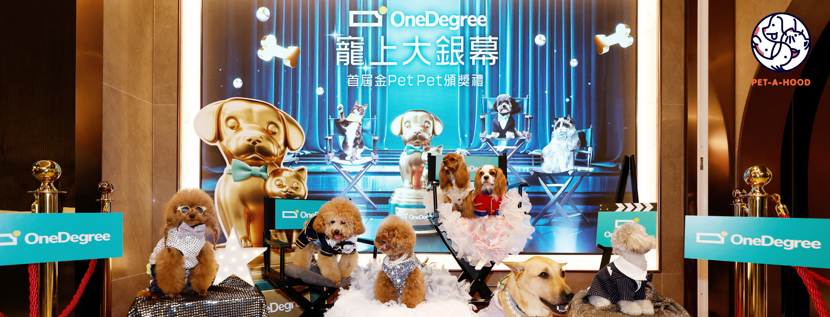 OneDegree首屆金 Pet Pet 頒獎禮：《「寵」上大銀幕！》精彩重溫 | PET-A-HOOD 寵物資訊平台 - petahood.com