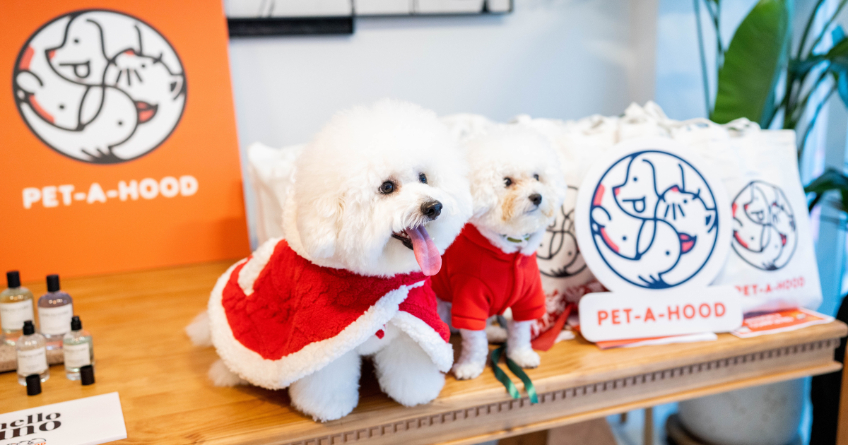 Pet Agent Benefit｜Experience The Latest Pet Service And Be A Pet Super ...