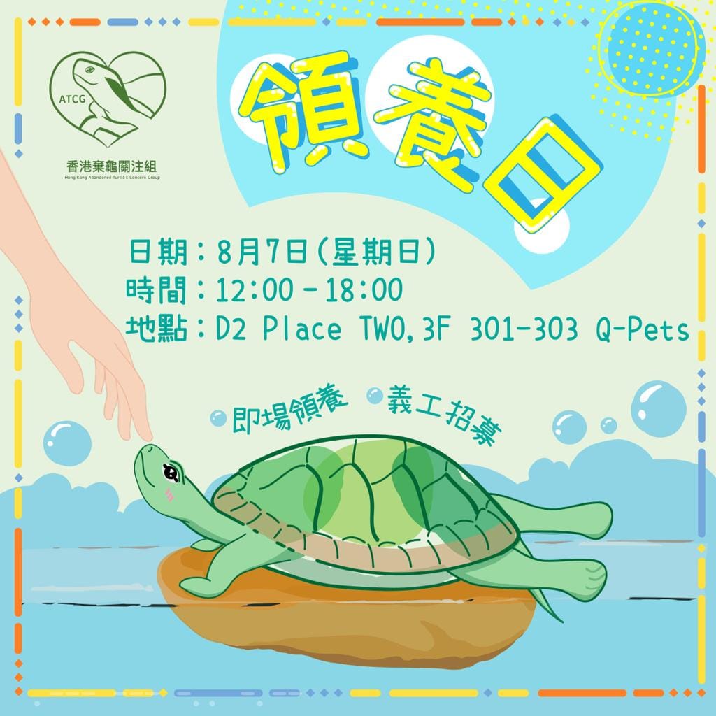 Hong Kong Abandoned Turtles' Concern Group Adoption Day | PET-A-HOOD ...