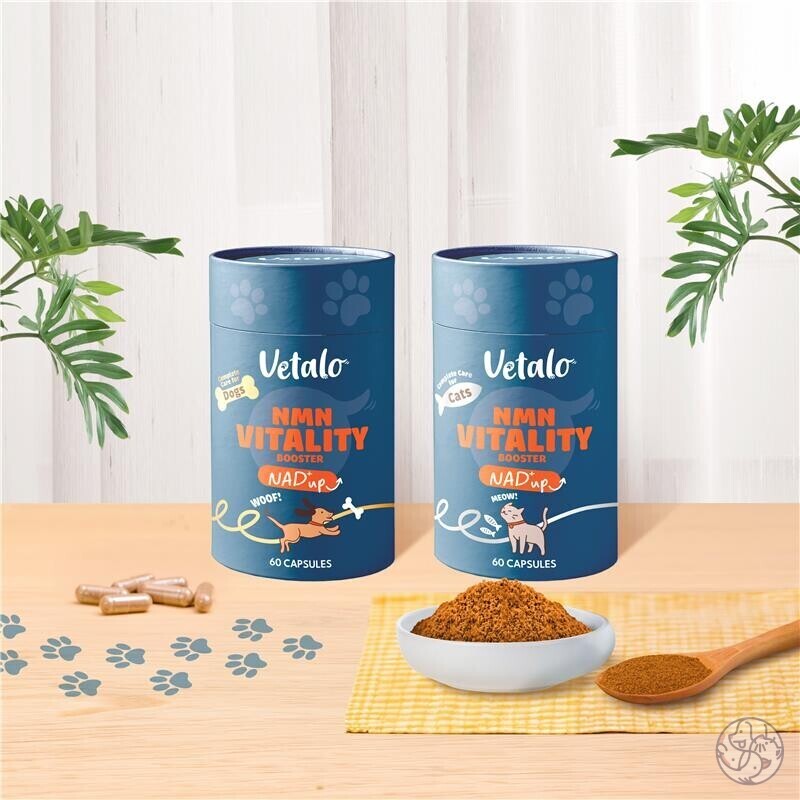 VETALO - NMN Vitality Booster 60 capsules PET-A-HOOD Pet Caring ...