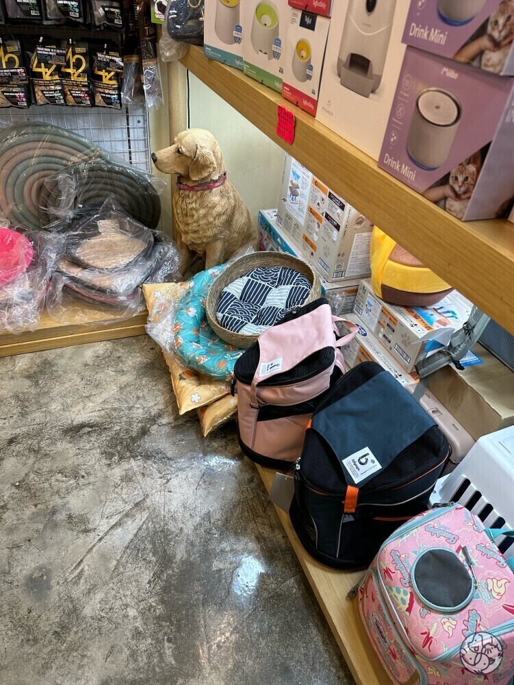 Top One Pet Shop - 九龍九龍城區 | PET-A-HOOD 寵物資訊平台 - petahood.com