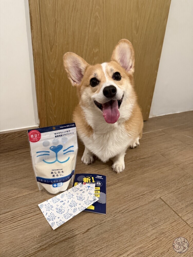 Nippi - OnlineOnline | PET-A-HOOD Pet Caring Simplified - petahood.com