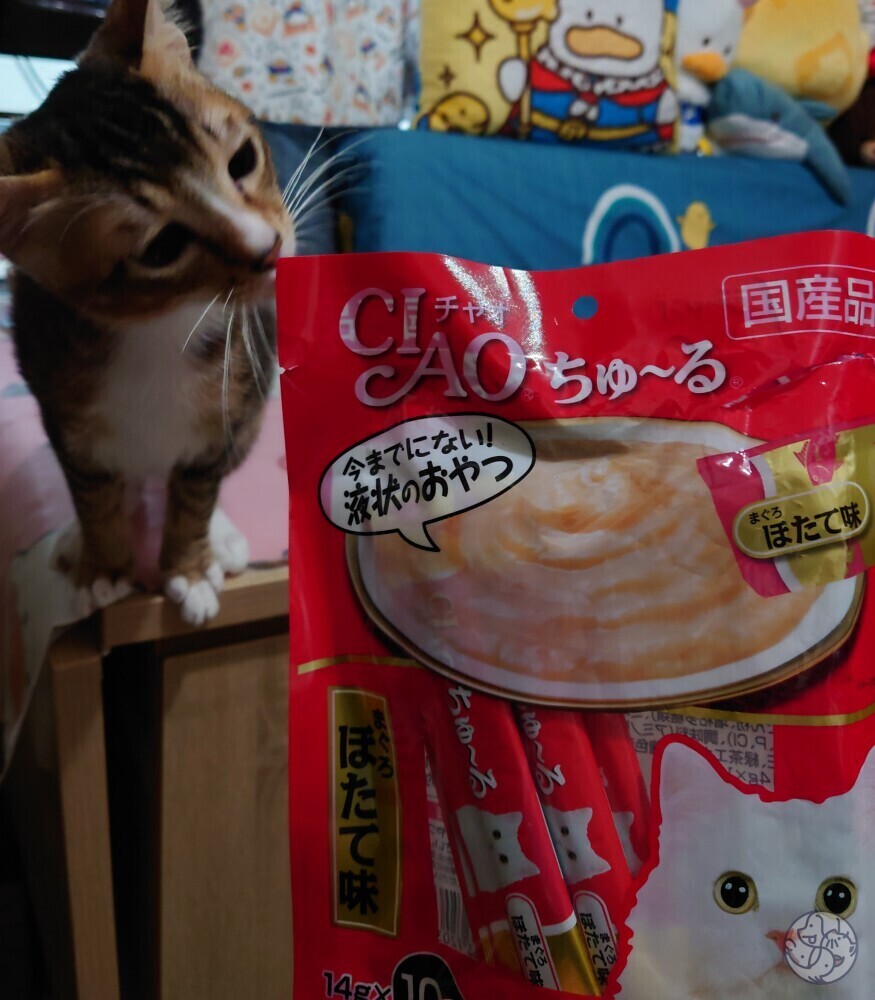 Don Don Donki (銅鑼灣) - 香港灣仔區 | PET-A-HOOD 寵物資訊平台 - petahood.com