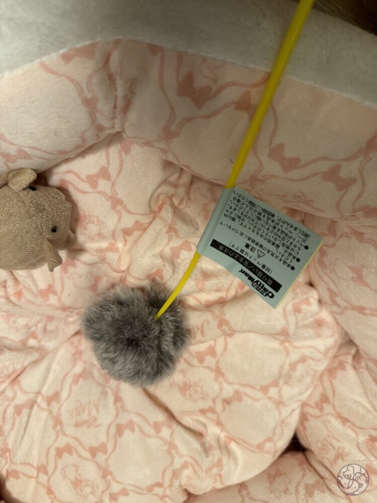 Don Don Donki (銅鑼灣) - 香港灣仔區 | PET-A-HOOD 寵物資訊平台 - petahood.com