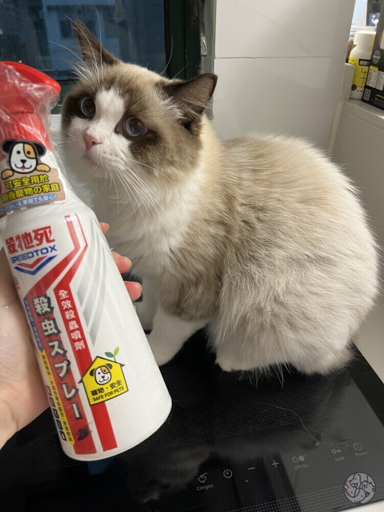 Don Don Donki (銅鑼灣) - 香港灣仔區 | PET-A-HOOD 寵物資訊平台 - petahood.com