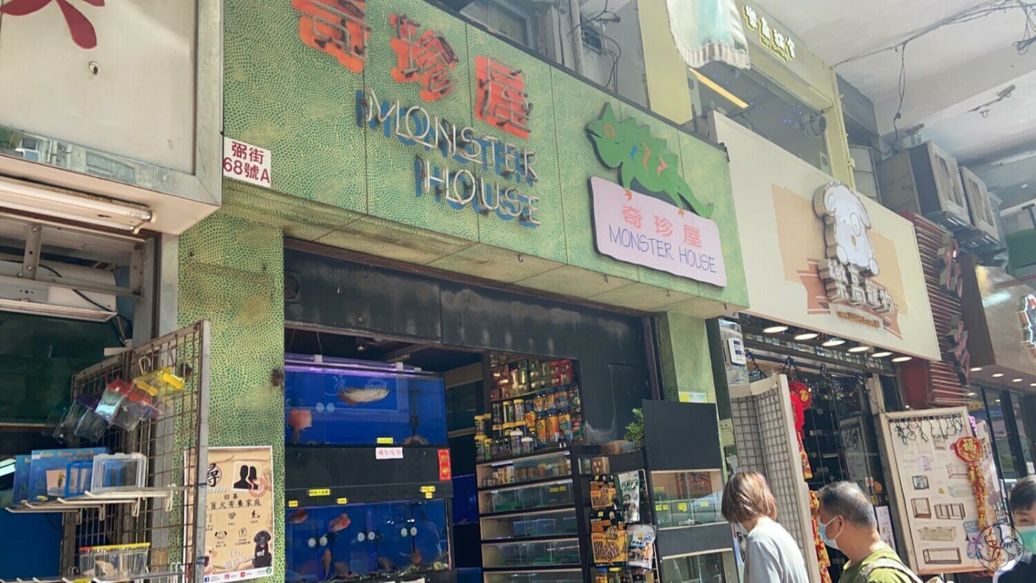 MONSTER HOUSE - KowloonYau Tsim Mong District | PET-A-HOOD Pet Caring ...