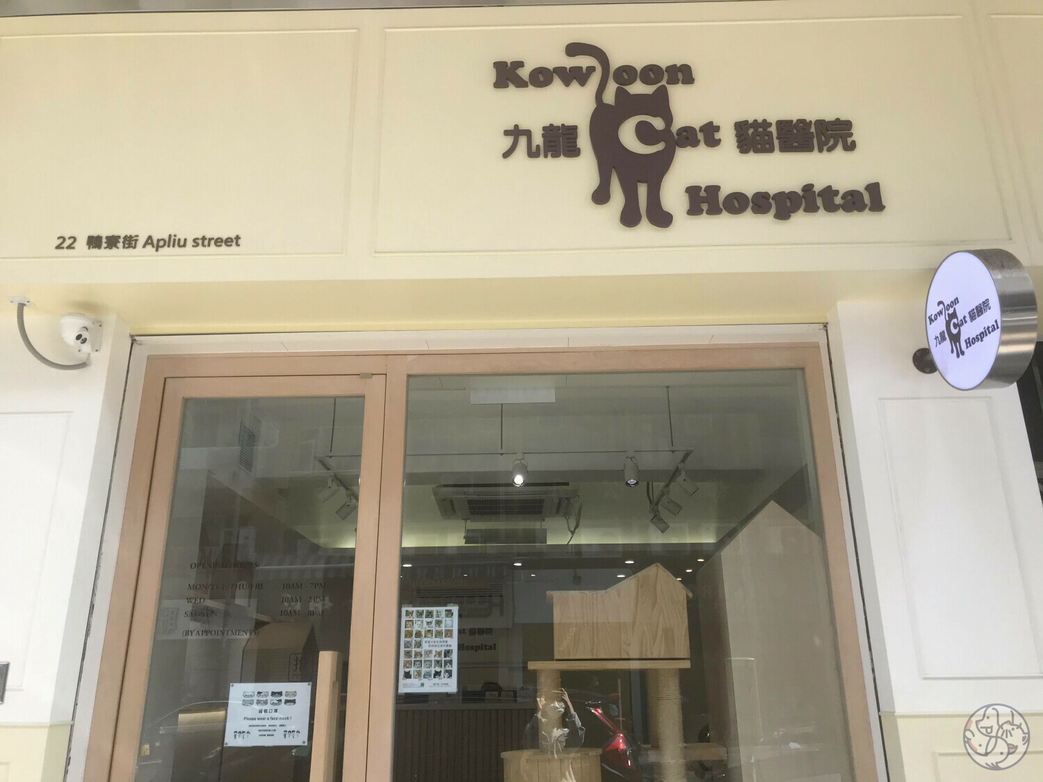 Kowloon Cat Hospital - KowloonSham Shui Po District | PET-A-HOOD Pet ...
