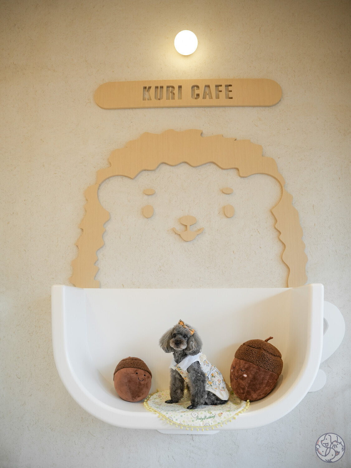 Kuri cafe (Tai Po) - 新界大埔區 | PET-A-HOOD 寵物資訊平台 - petahood.com